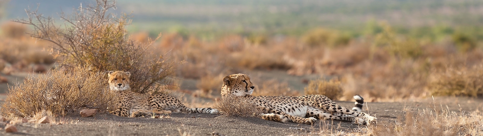 Friends of Samara Trust - Empowers Africa