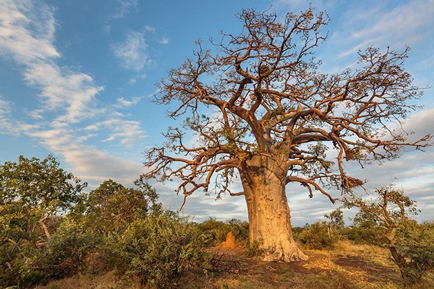 Motse Community and Wildlife Conservancy - Empowers Africa