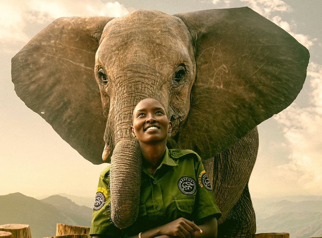 All About Elephants | Reteti Elephant Sanctuary | Empowers Africa